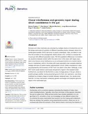Clonal interference and genomic repair during strain coexistence in the gut